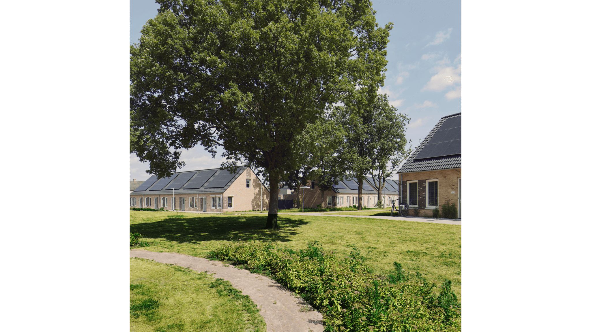 Ijsvogelstraat venlo — Mr. Stir